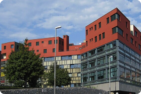 Šta je Bitly? - Arbona